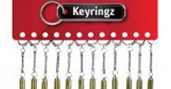 328 Bullet Key Rings
